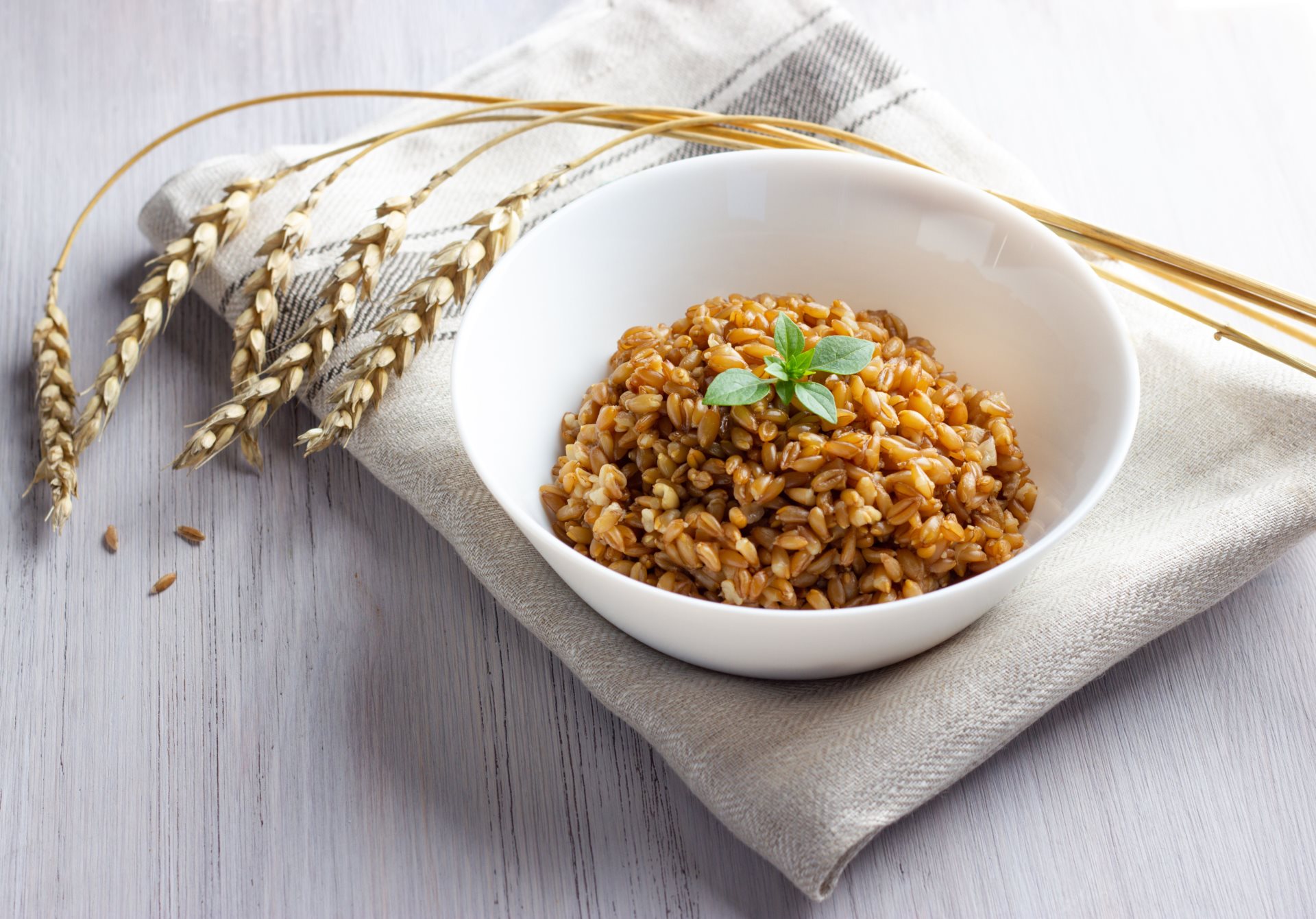 za šta je dobra spelta kako izlečiti želudac recepti sa speltom | Stvar ...