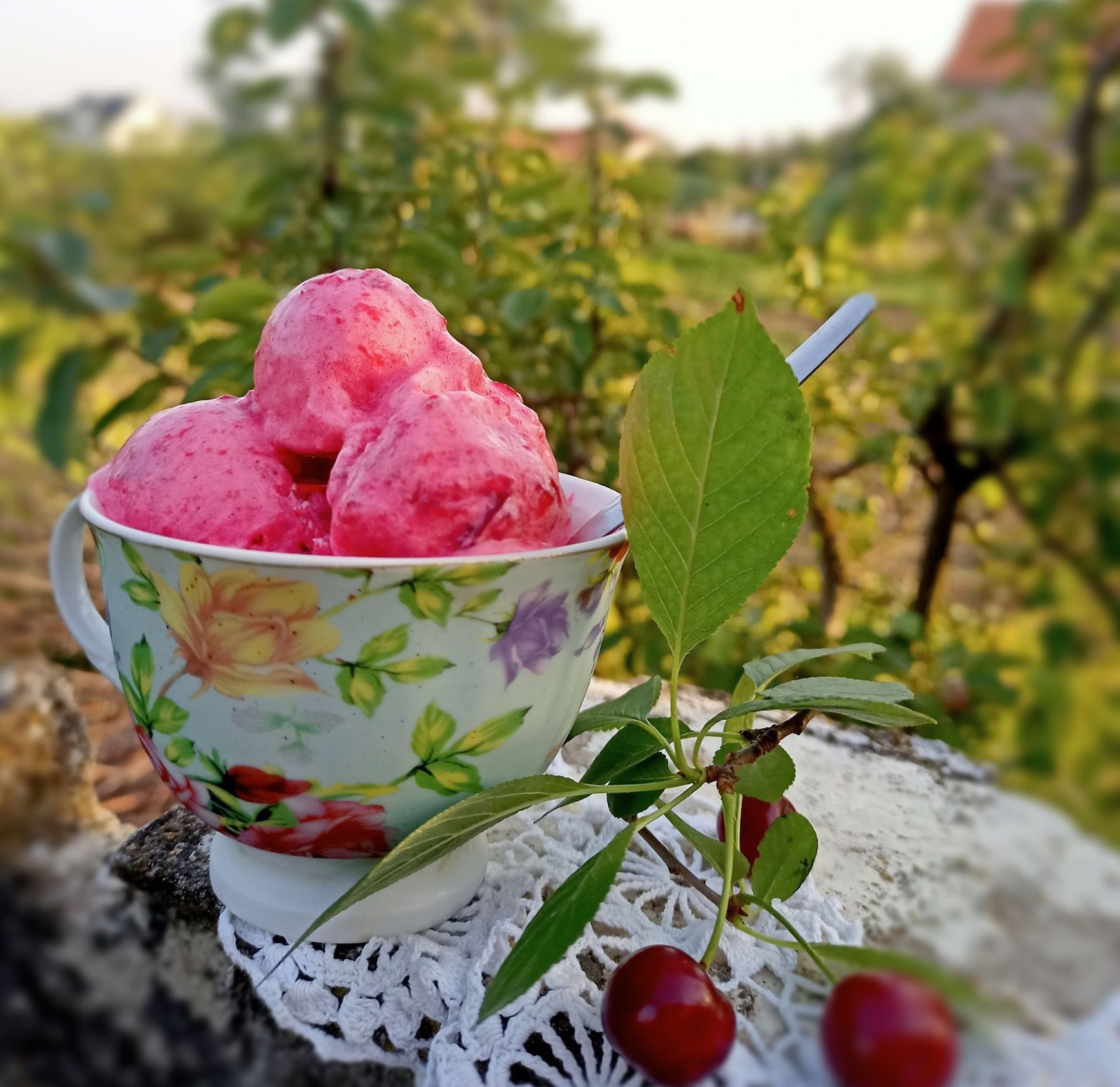 recept za domaći sladoled | Stvar ukusa