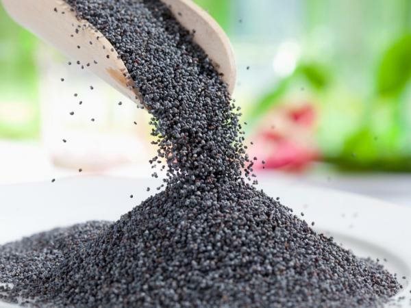 Čudesno seme maka | Stvar ukusa