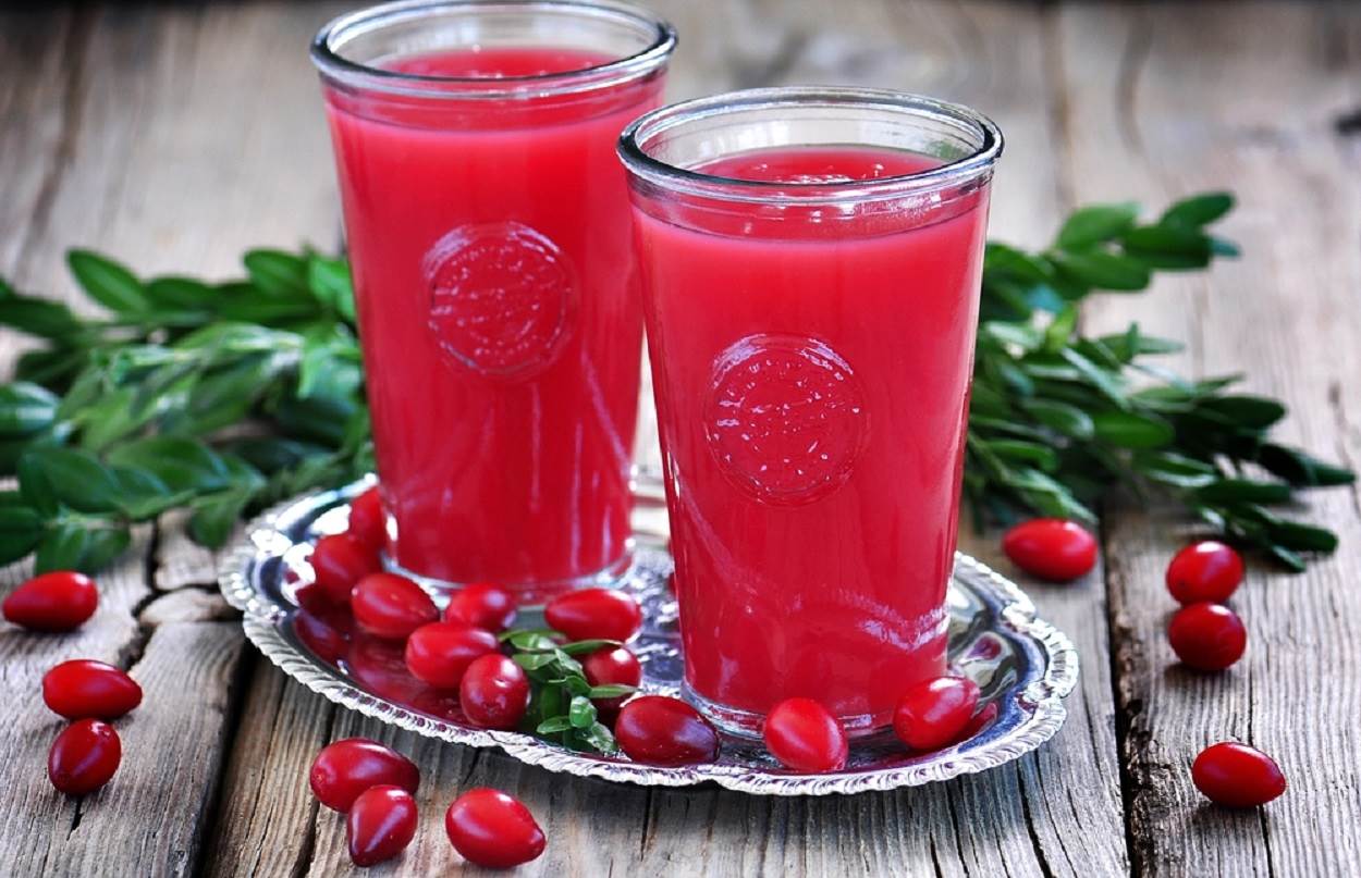 Sok od drenjine recept | Stvar ukusa