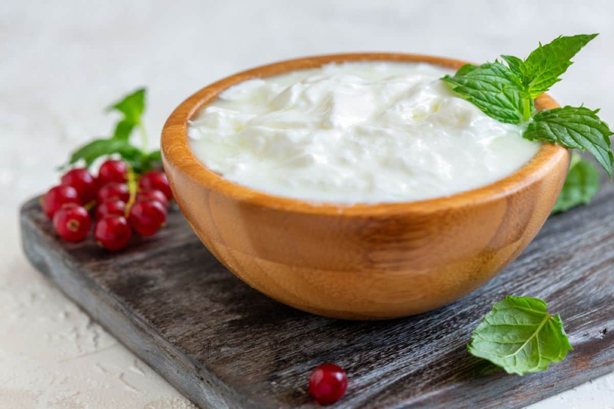 Kako se pravi kiselo mleko recept | Stvar ukusa