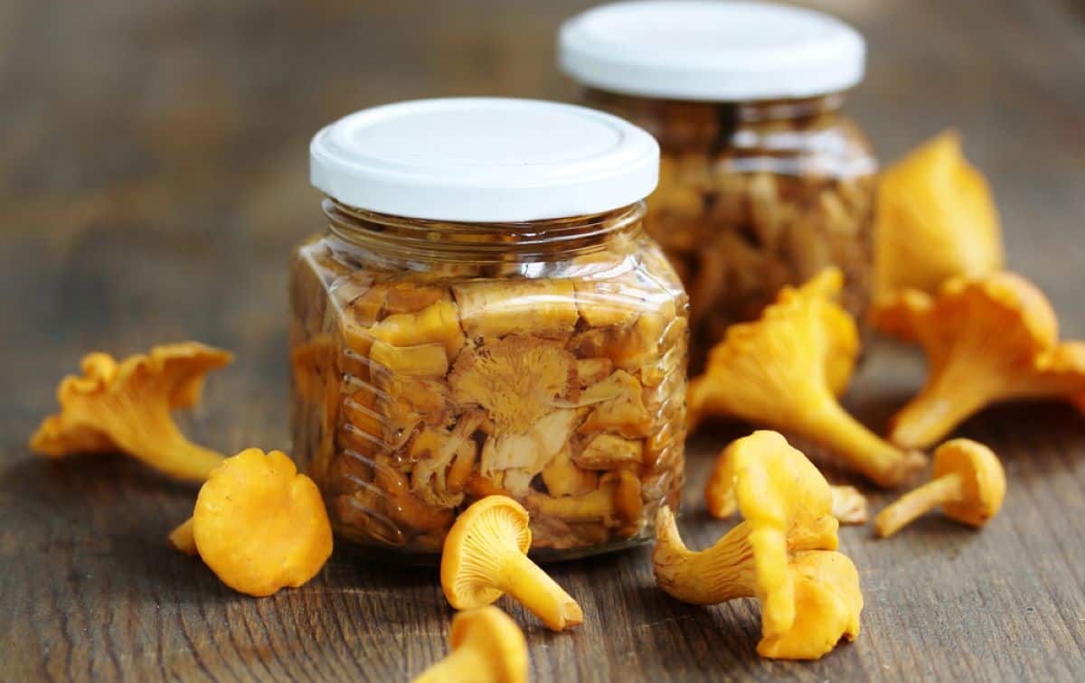 Marinirane lisičarke recept | Stvar ukusa