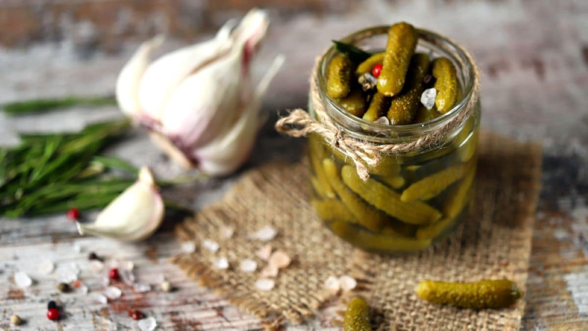 Pikantni kornišoni recept | Stvar ukusa