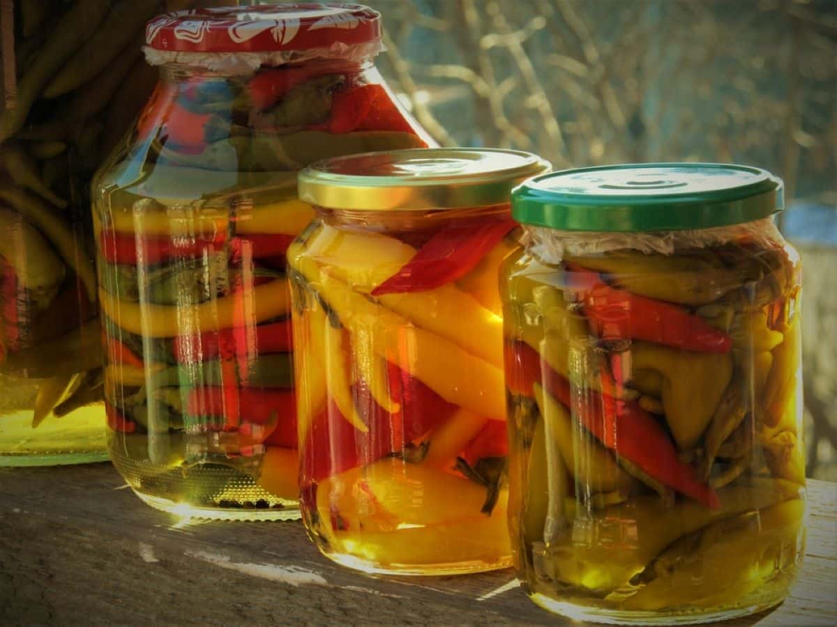 Feferone za zimu recept | Stvar ukusa