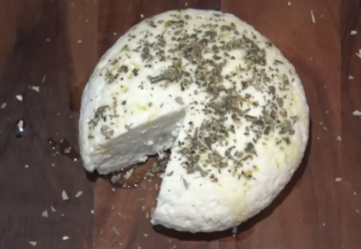 Kako se pravi domaći sir recept | Stvar ukusa