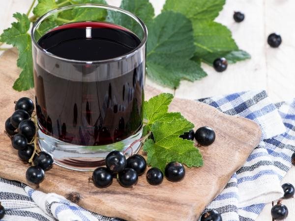 Domaći sok od crne ribizle nas čini pametnijim | Stvar ukusa