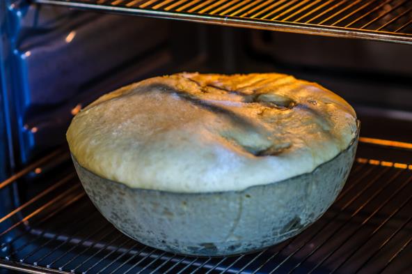 Kako da testo brže nadođe | Stvar ukusa